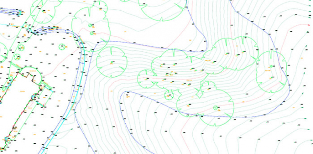 Topographical Surveys